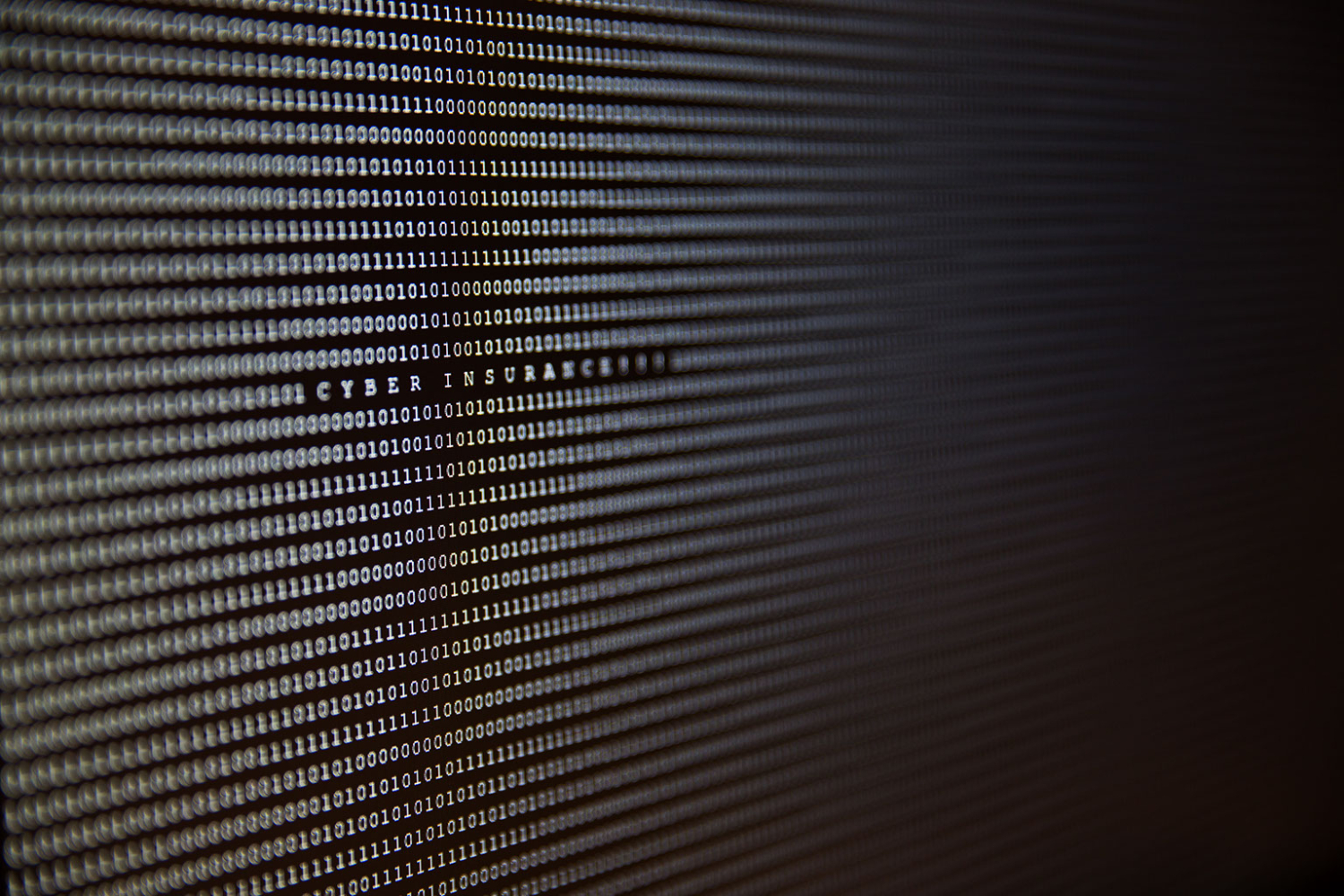 Spring4Shell: descoberto novo zero-day - ISH Tecnologia